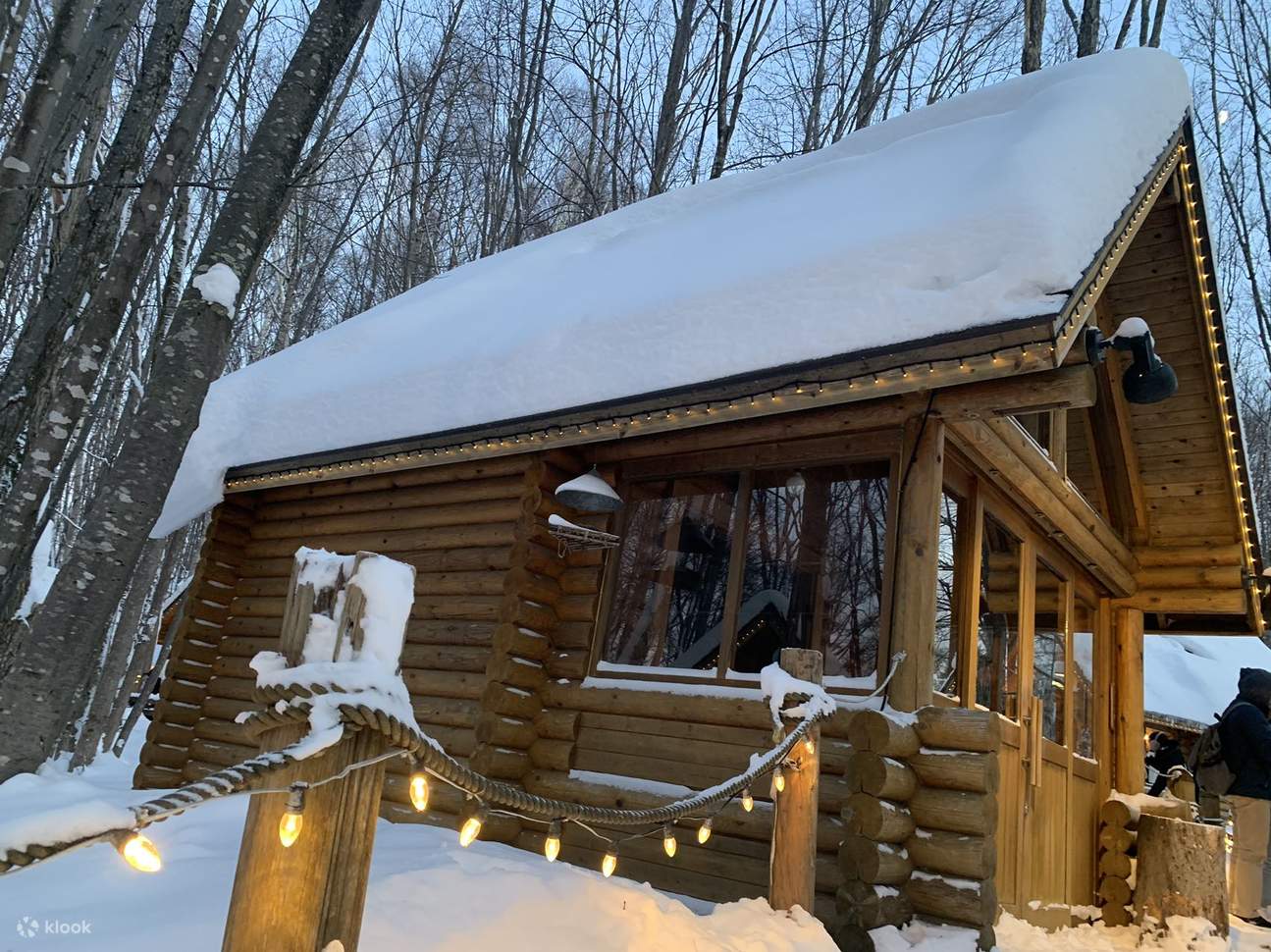 Asahiyama Zoo & Biei & Shikisai-no-Oka & Forest Fairy Terrace One Day ...